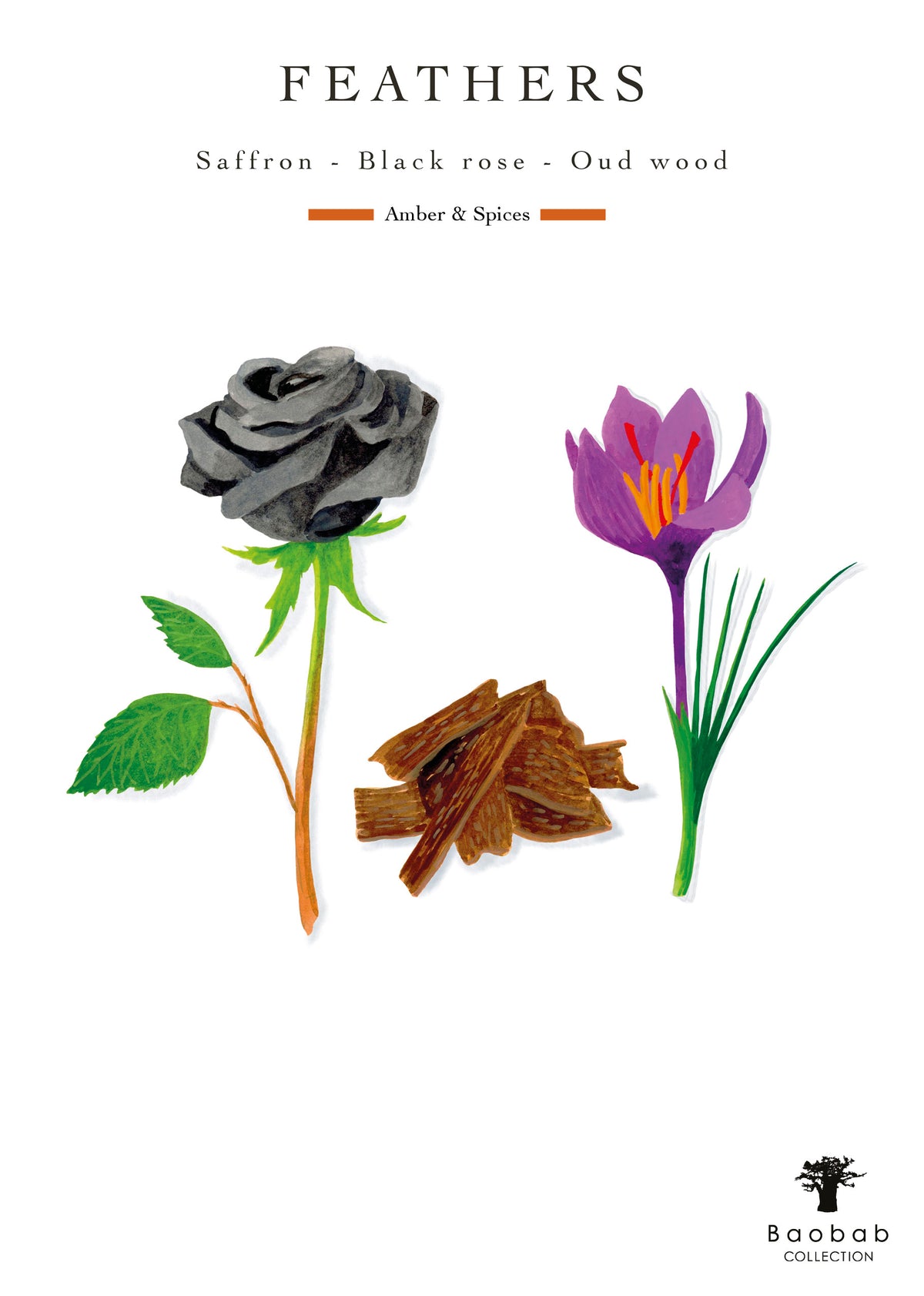 Baobab Collection Feathers Fragrance Diffuser 500ml/ 16.9 oz | The Beauty Box