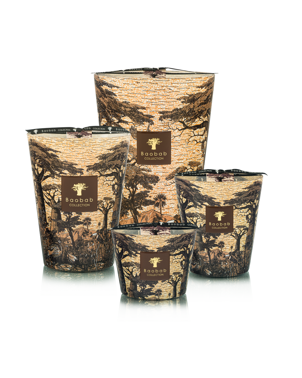 Baobab Collection Mankono Sacred Trees Max 10 Candle | The Beauty Box